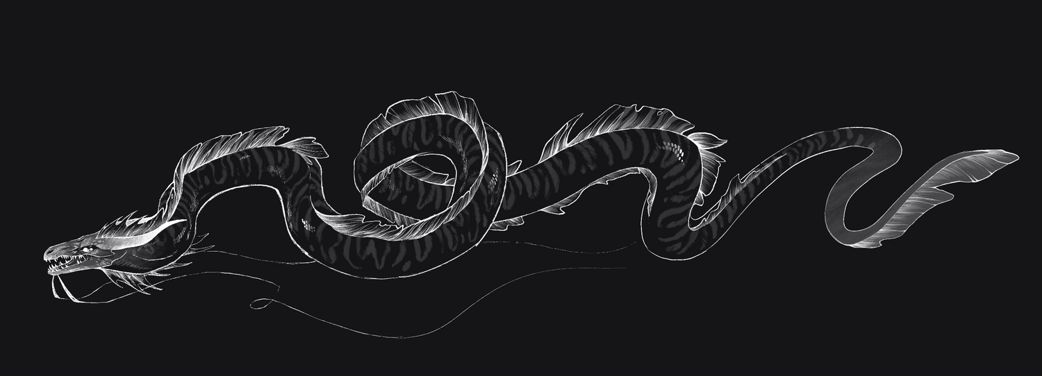 Strange Shape – KIRIN KONCEPT