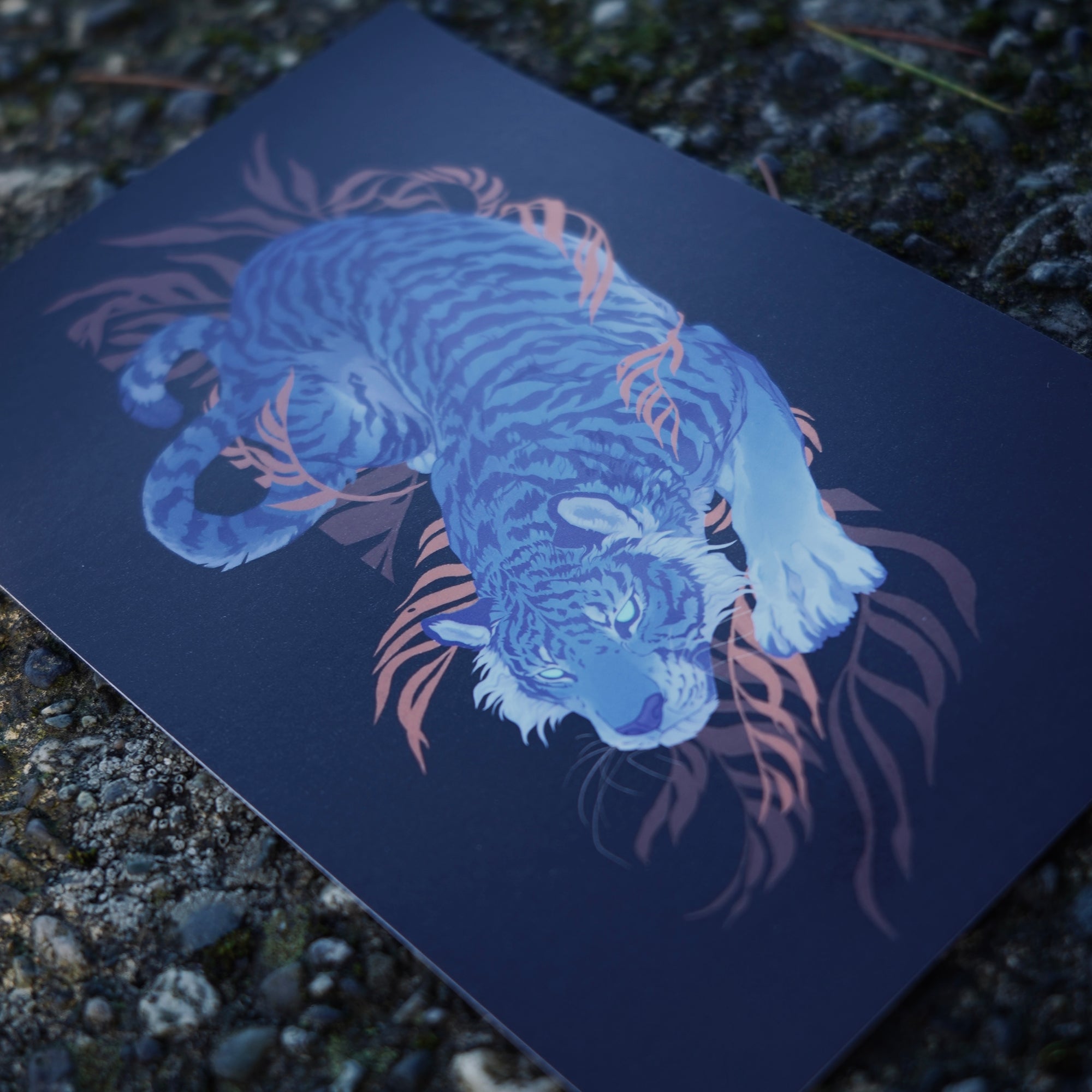KIRIN KONCEPT
